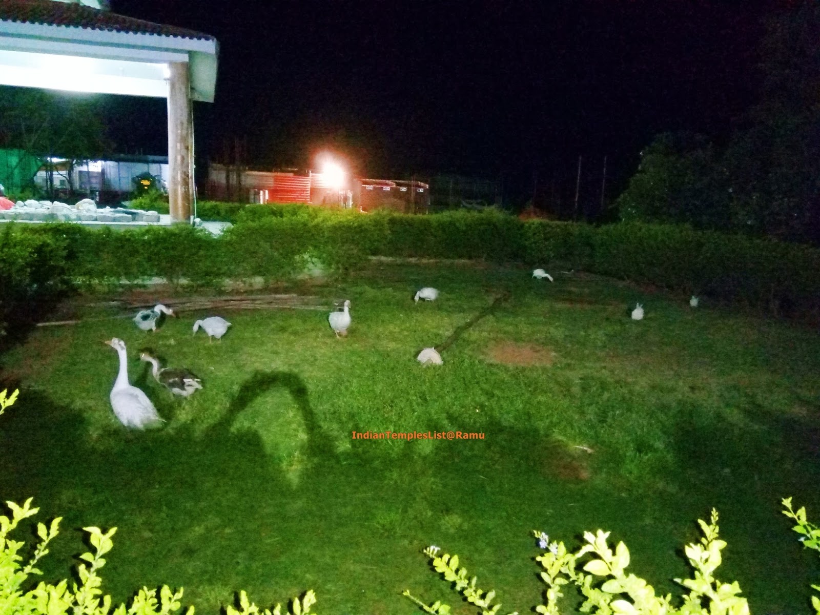 Sri Sai Sannidhi Temple at Chintapally - Hyderabad - Indian Temples List