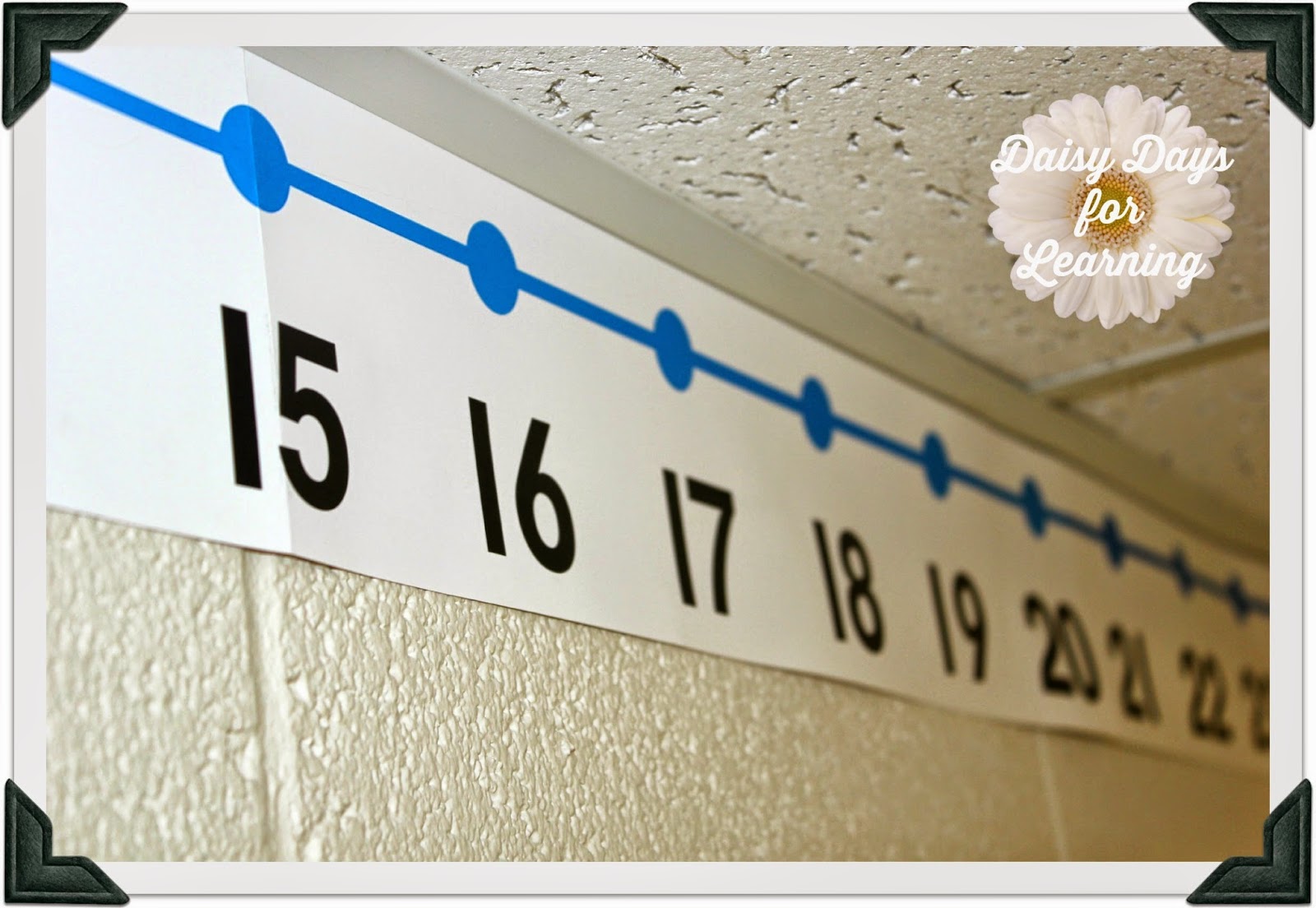 Daisy Days for Learning: Counting In the Primary Classroom Post #1: How ...