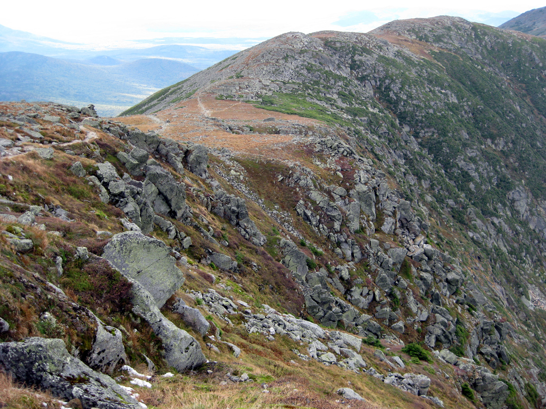 Naturally New England