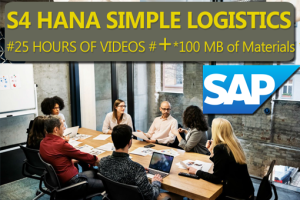 SAP Simple Logistics – Supply Chain Planning | Simple Logistics Online ...