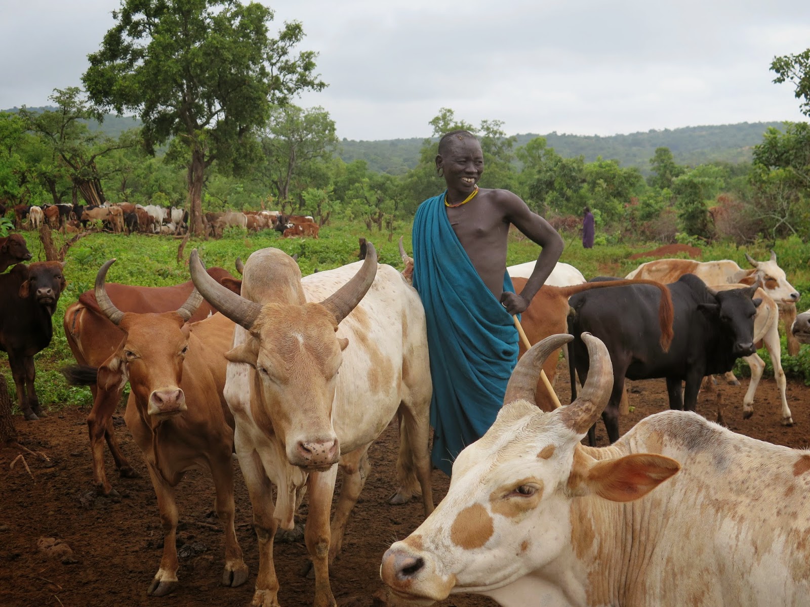 Life...The Vivere: 31 August 2014