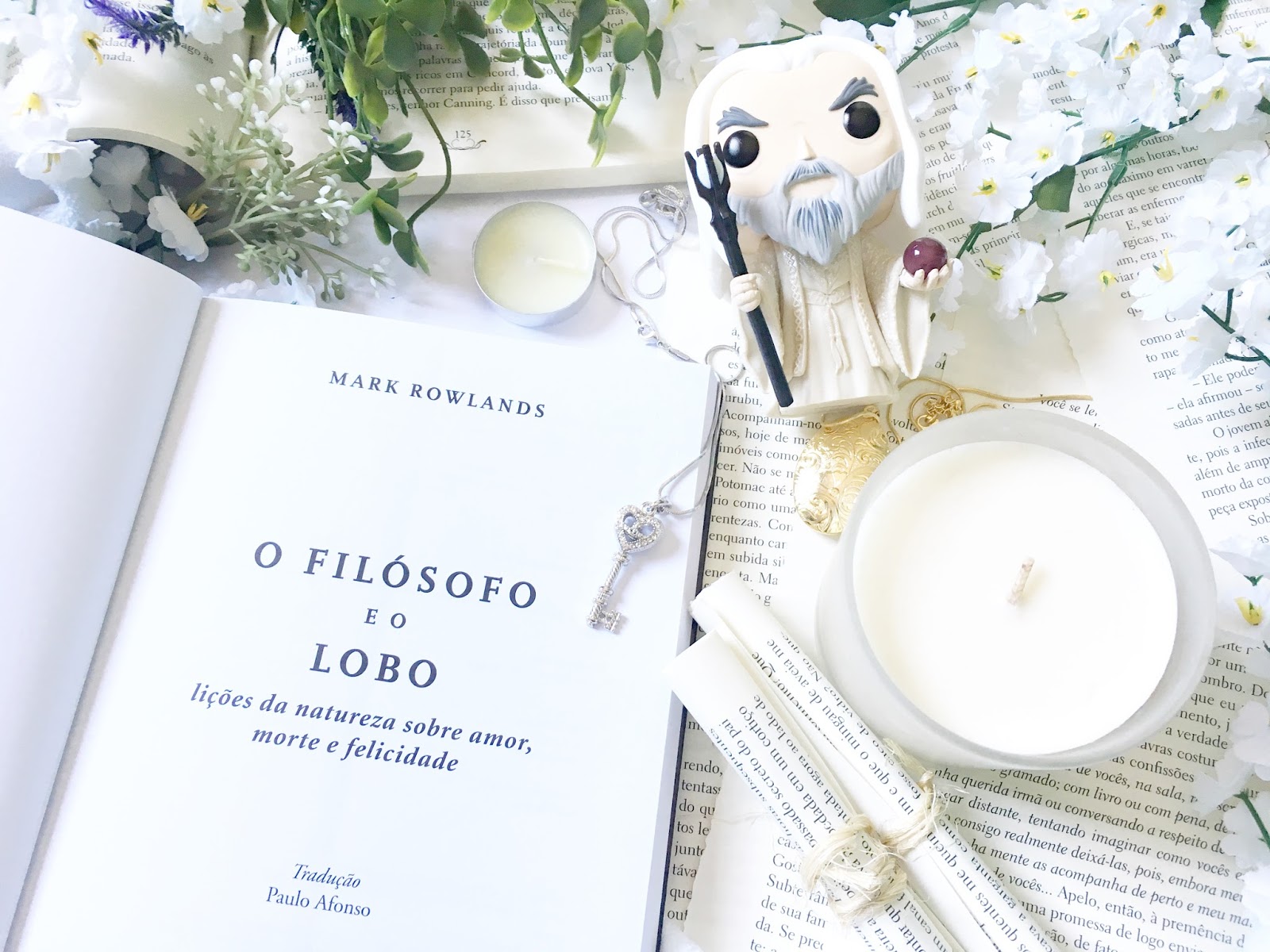 [Resenha #1556] O Filósofo e o Lobo - Mark Rowlands @cialetras / Rotina ...