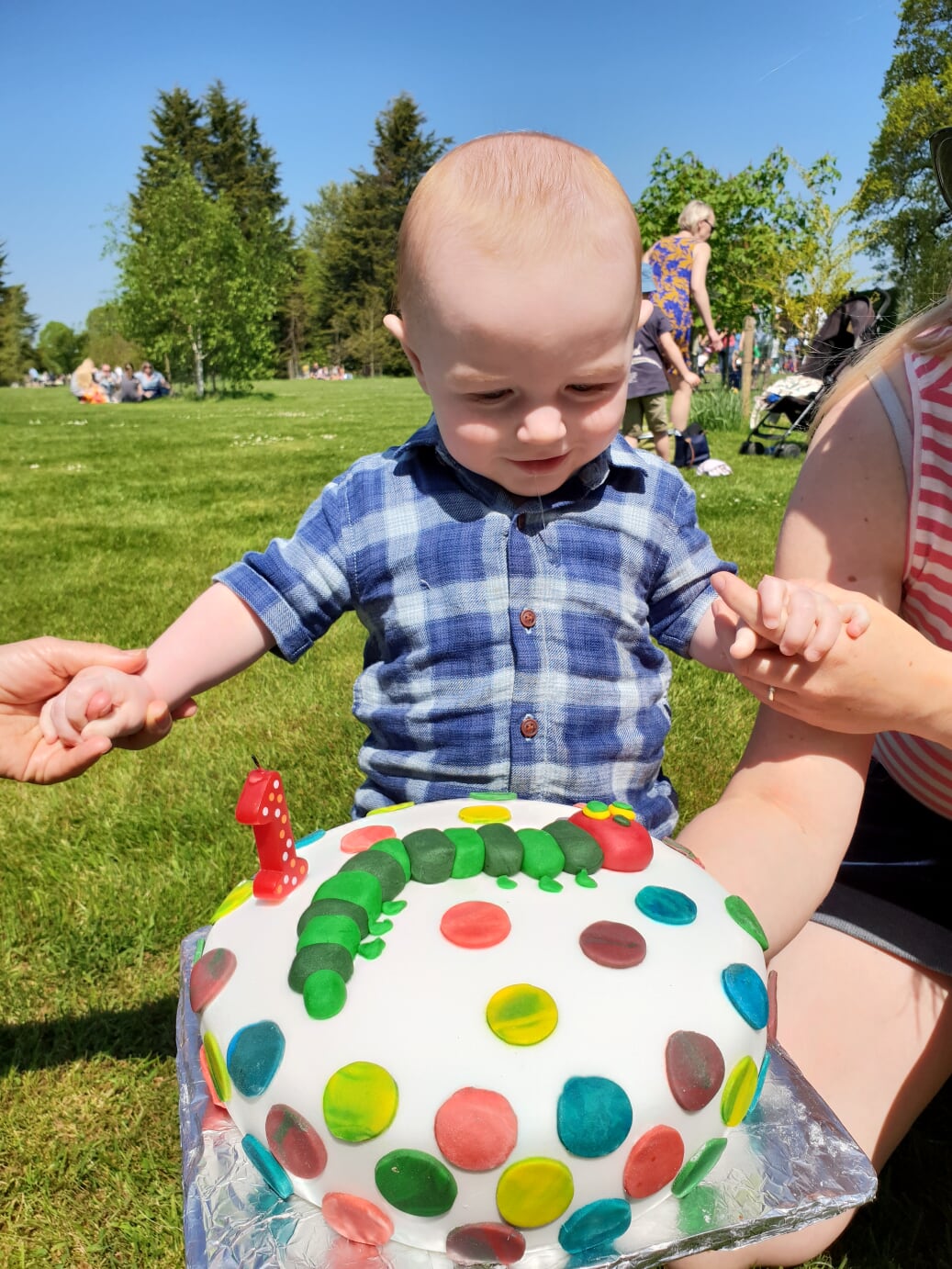 The Handmade Mum: A simple Hungry Caterpillar Cake