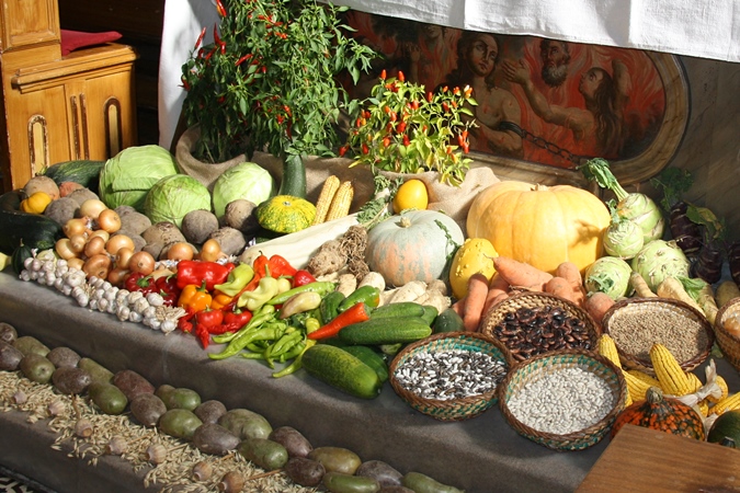 Letitia svetu: Roľnícka nedeľa 2013