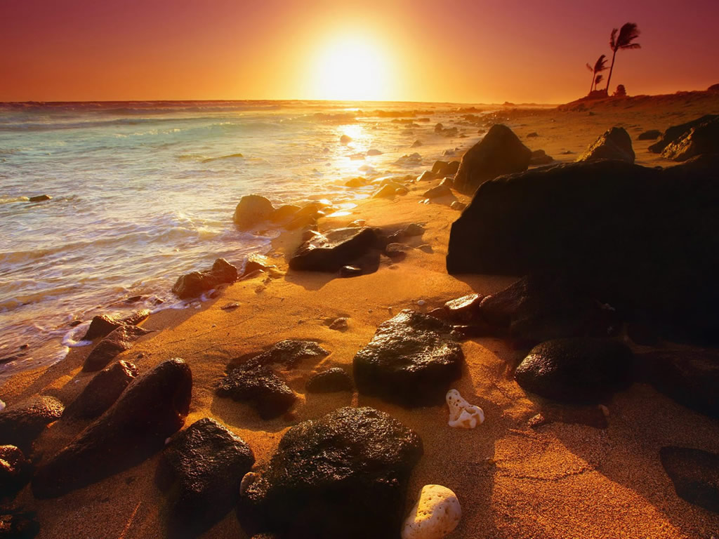 Imagini Desktop ~ Blog D3mon