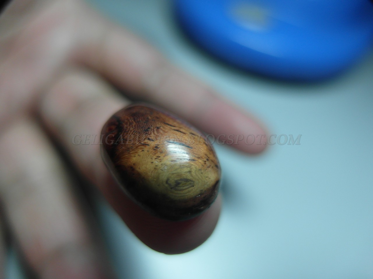 BLOG UTAMA Y.M PADUKA AYAHANDA PAY 8: KAYU MENANG