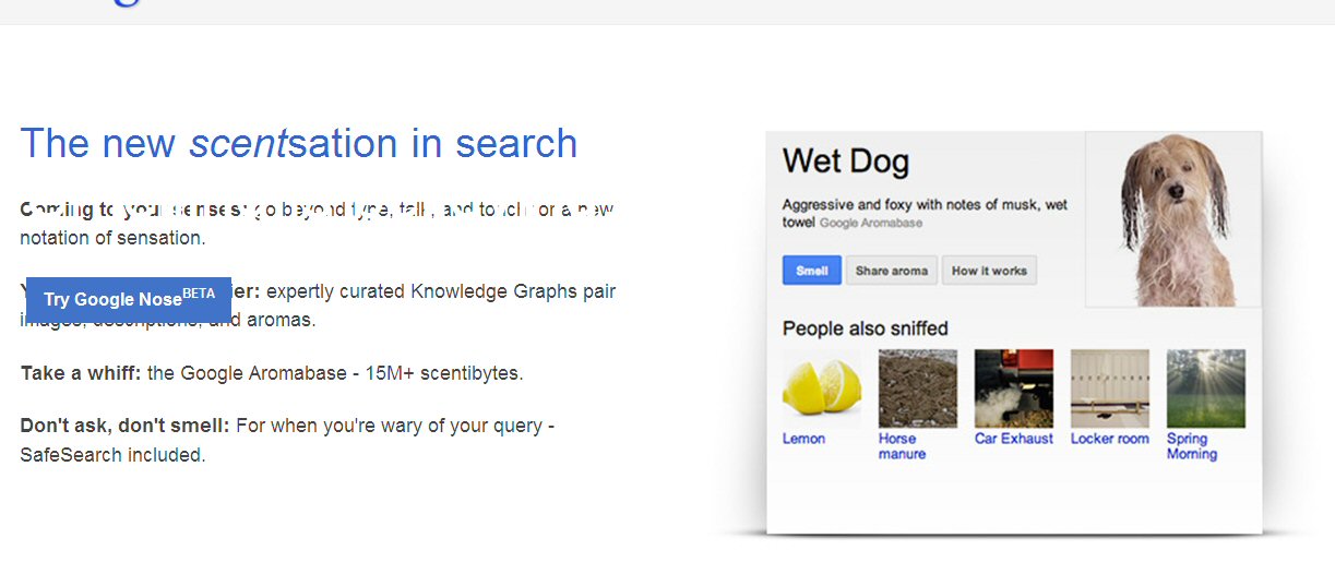 Sweet Freedom Designs: Google Nose