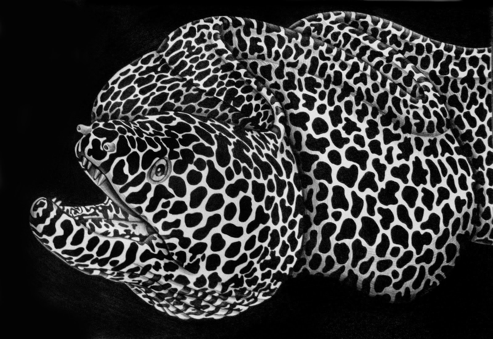 Design Stack: A Blog about Art, Design and Architecture: All Creatures ...