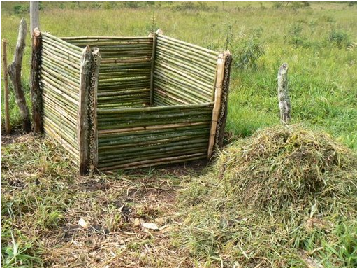 BIBOCA AMBIENTAL : CONSTRUINDO UMA COMPOSTEIRA