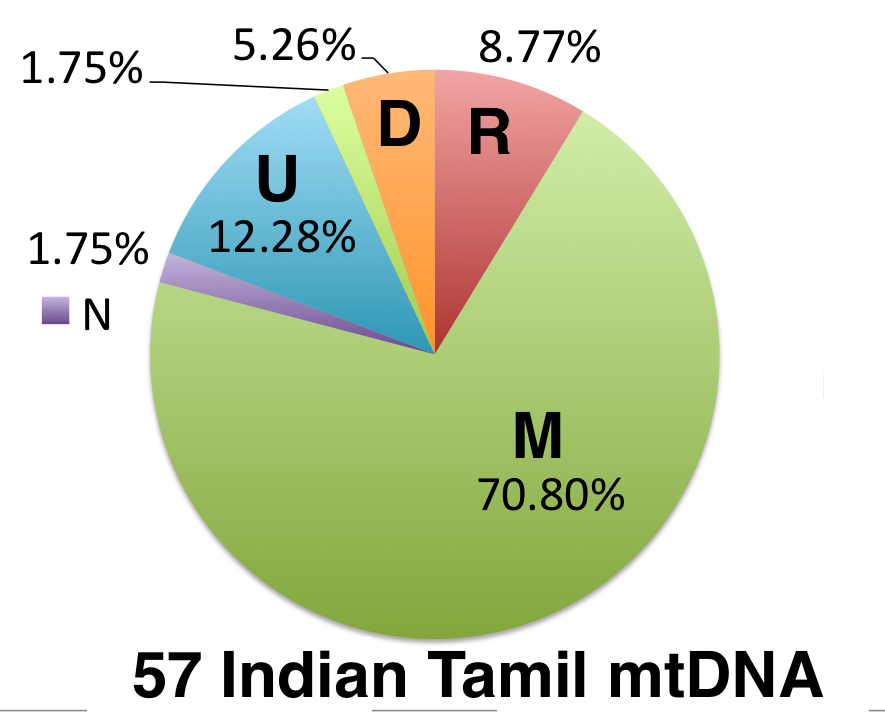 Sri Lankan Genetic Studies: Common ancestry of Sinhalese and Sri Lankan ...
