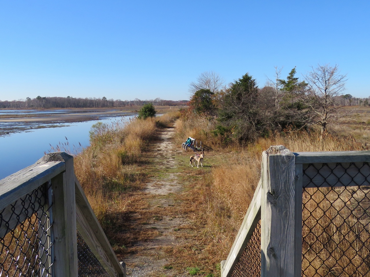 Gone Hikin': Prime Hook National Wildlife Refuge, DE