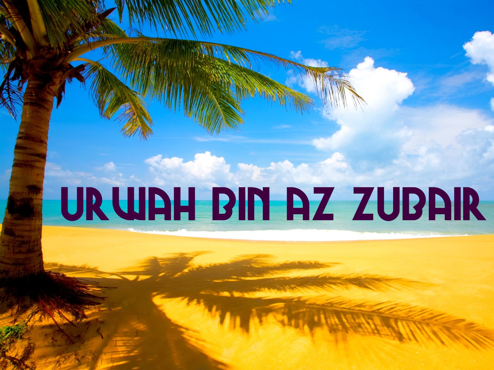 CAHAYA SUNNAH: Urwah bin al-Awwam al Quraisy