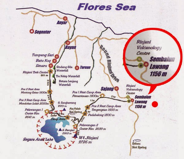 Sembalun Trekking Route and Packages | Rinjani Trekking - HaLoMi Trekker