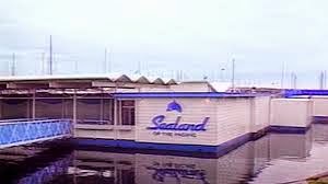 Biodiversidade Marinha: Sealand of the Pacific