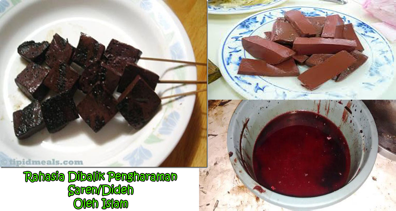 Rahasia Dibalik Pengharaman Saren/Dideh Oleh Islam ~ SEHAT@NEWS