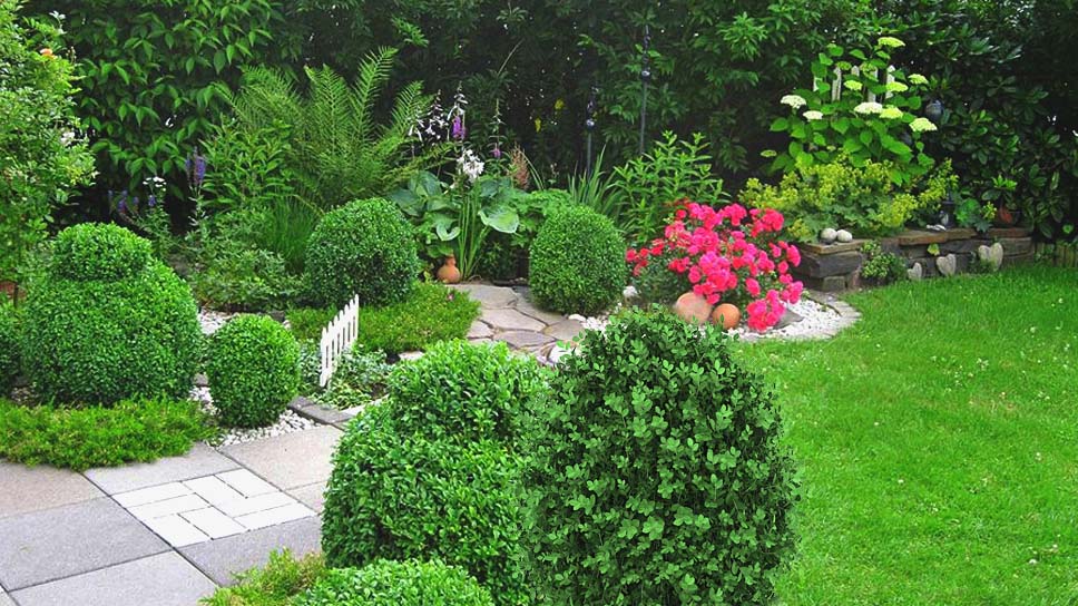 Professional Lawn Care Services Ideas to beautify your Lawn
