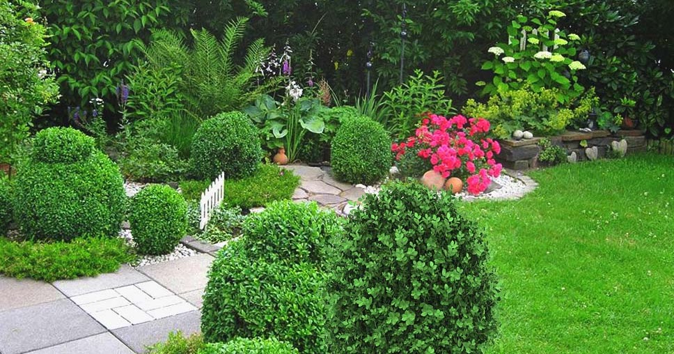 Professional Lawn Care Services Ideas to beautify your Lawn