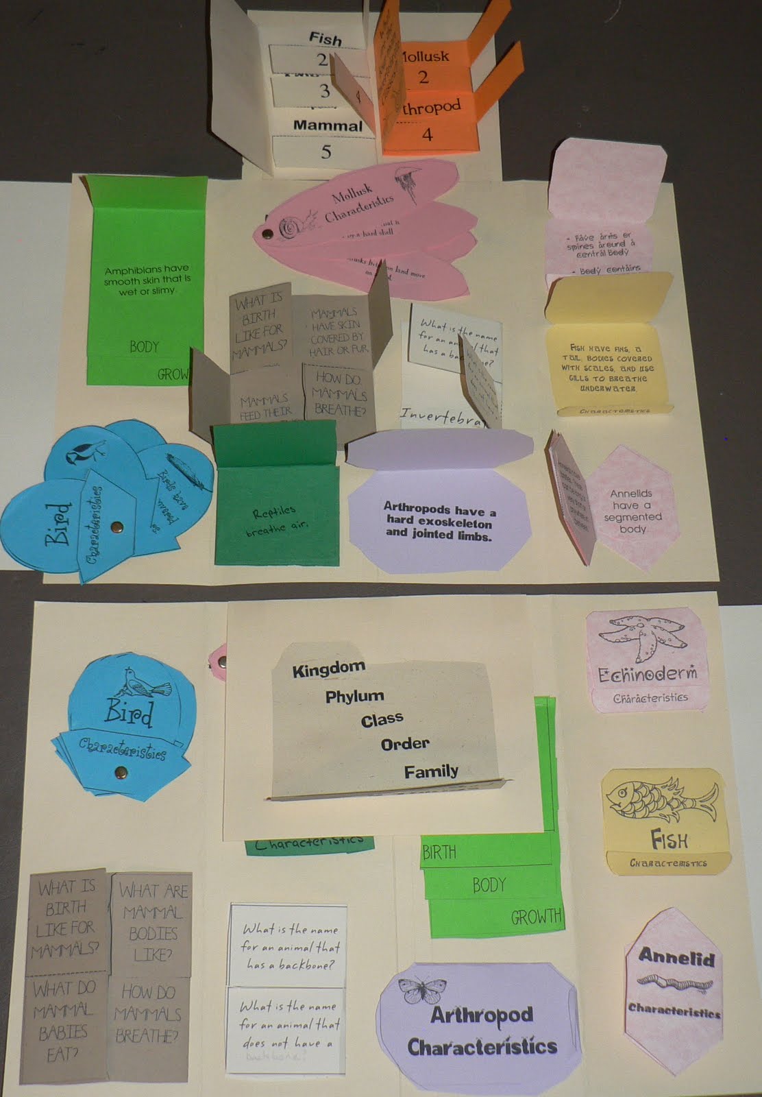 Walking by the Way: ECC Weeks 12-17 Norway, France & Germany - A Recap ...