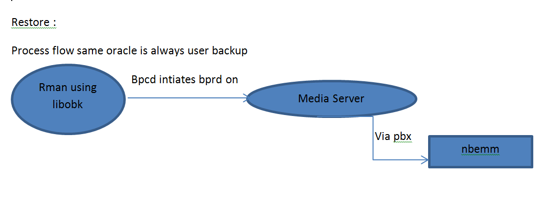 Countenance: Netbackup Oracle internal process
