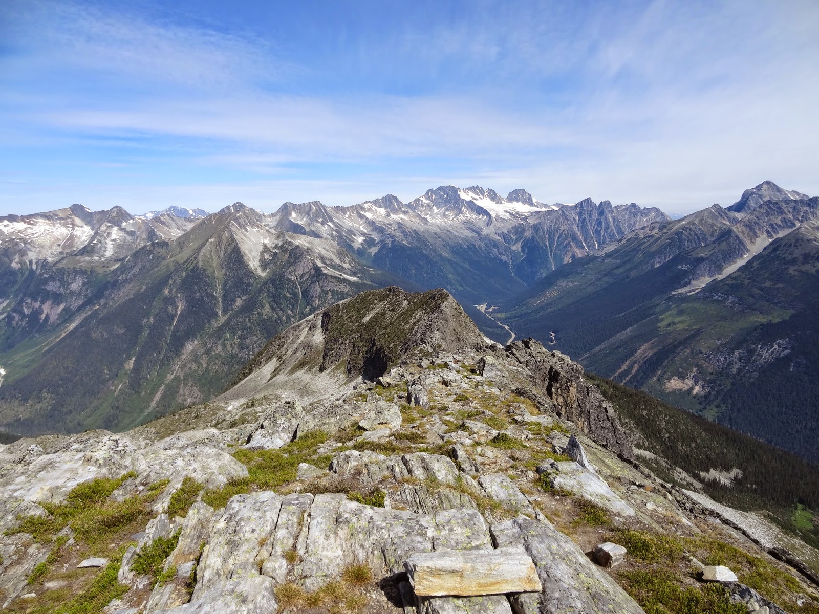 Alison Sekera's Blog