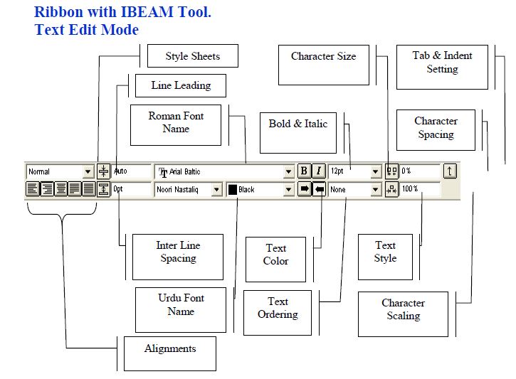 IBeam Tool in InPage - computer free courses