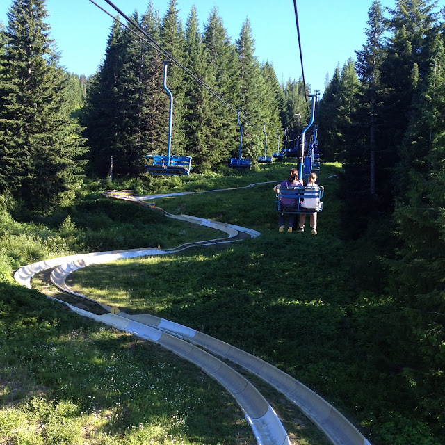 her lovely nest.: bidding our Portland summer adieu.