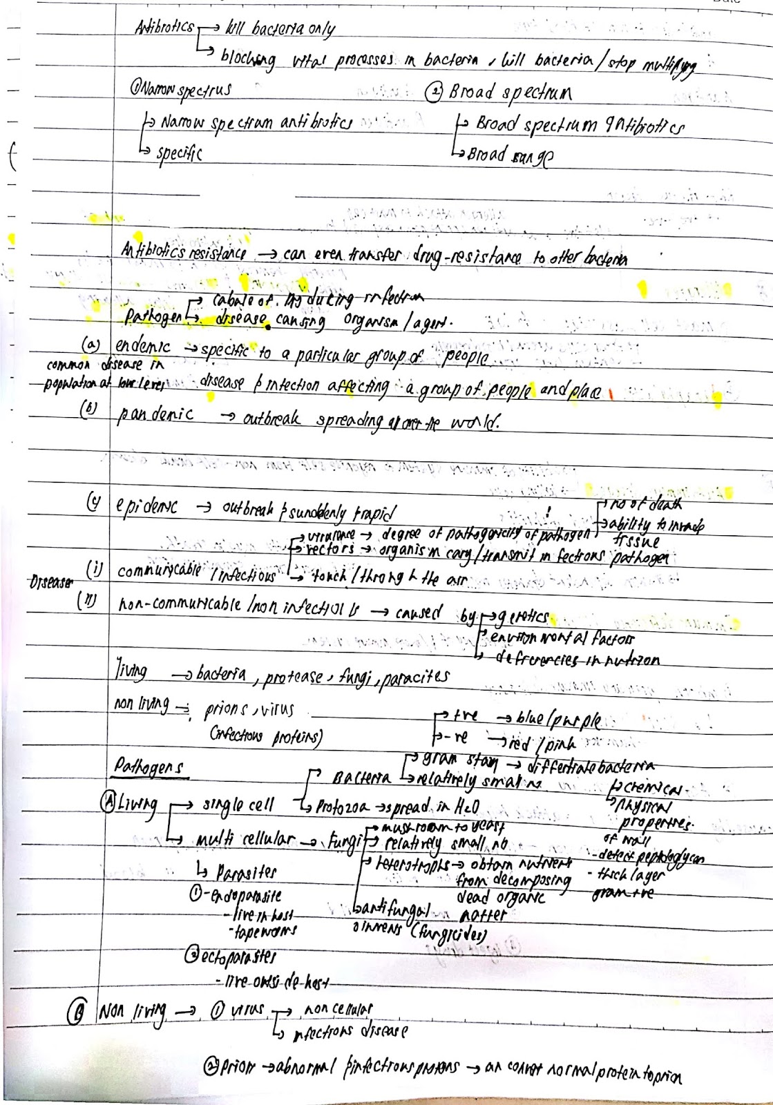MUFY Biology Semester 1 Notes (RAW)