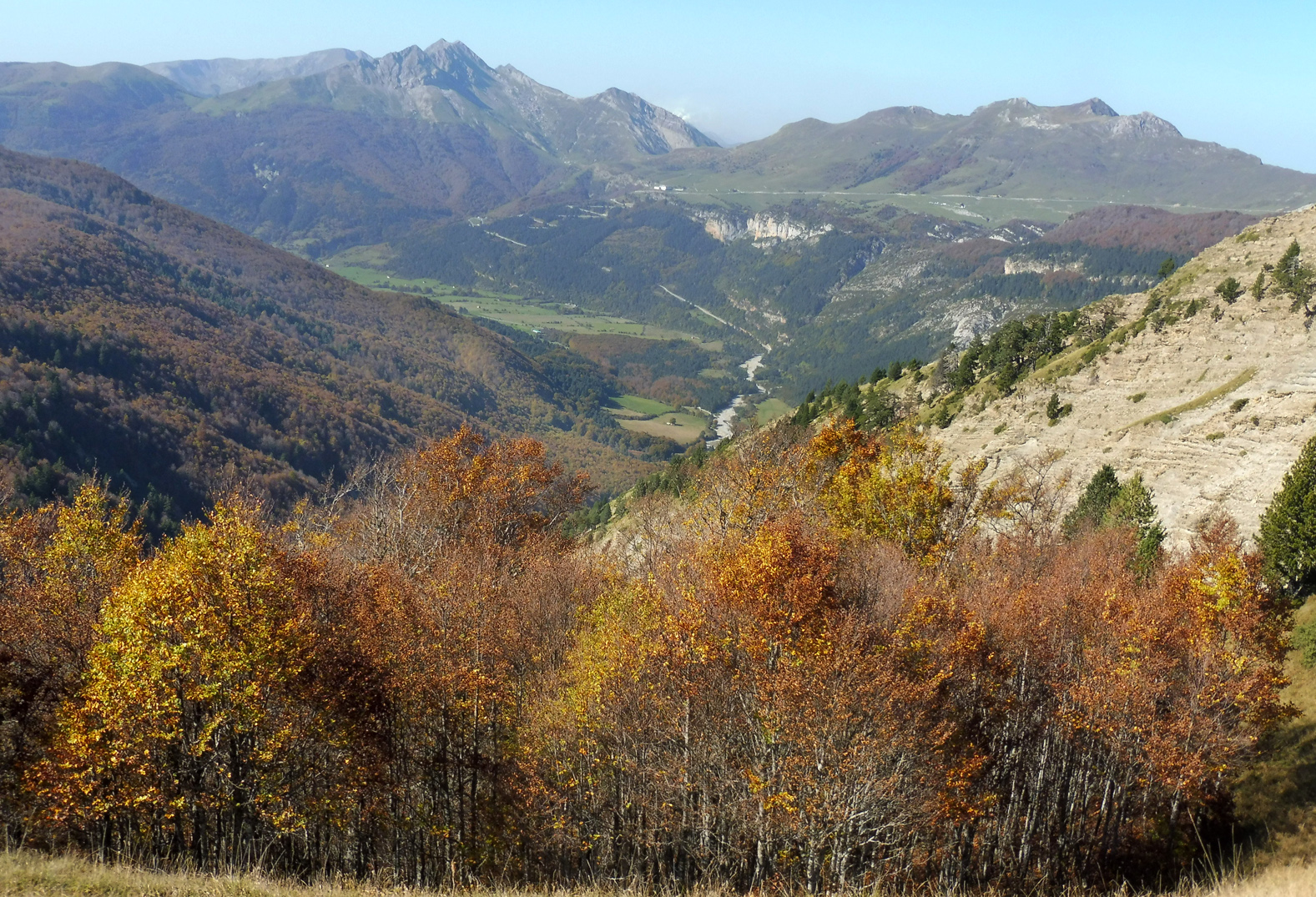 rocayflor: Paquiza de Linzola desde Linza