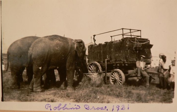Anonymous Works: An Early 20th Century Circus Archive