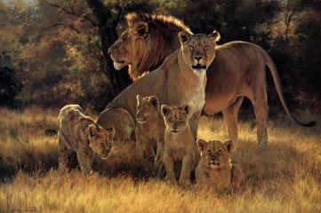 La société des Lions