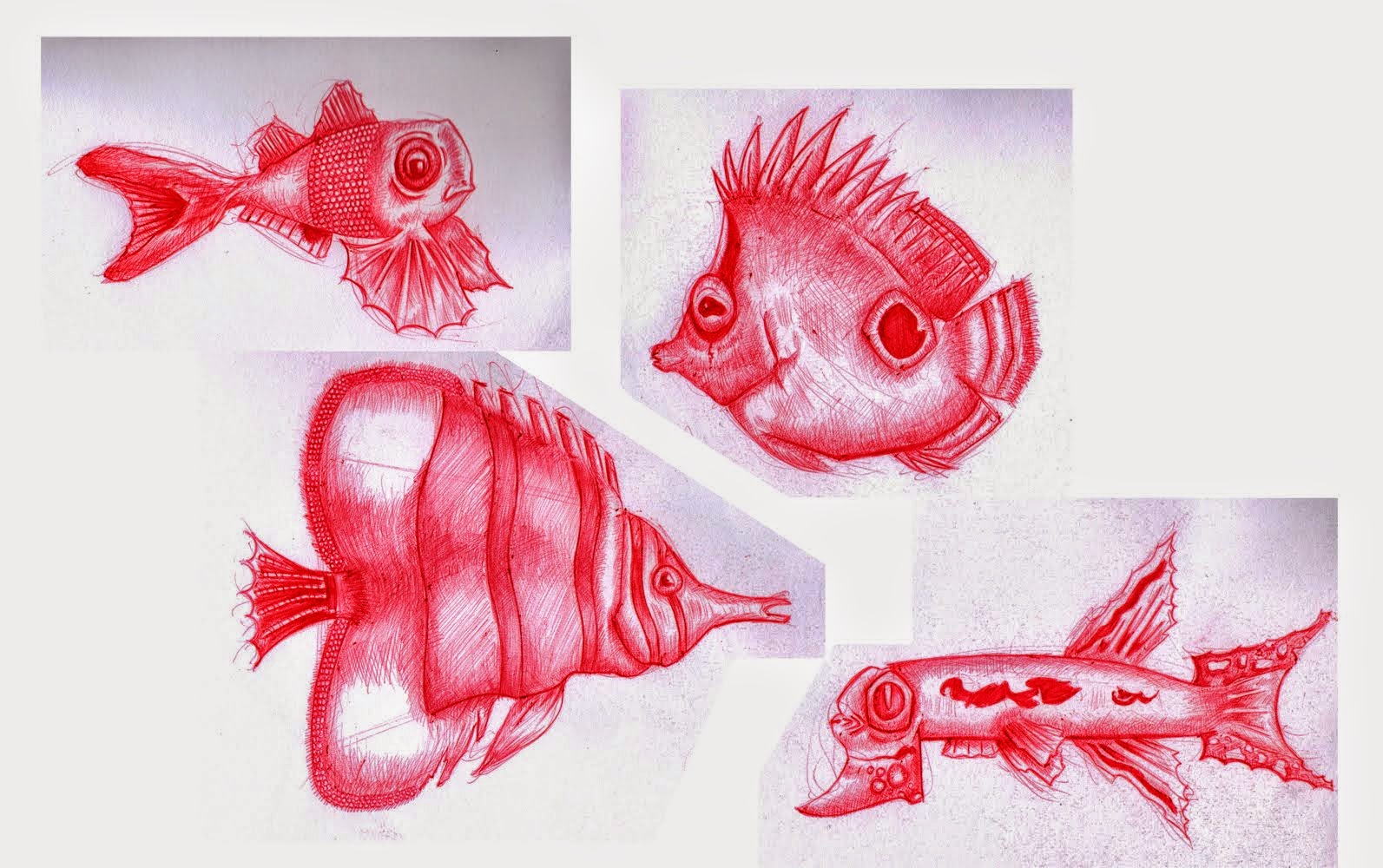 Hamo's Art Blog: Fish Designs