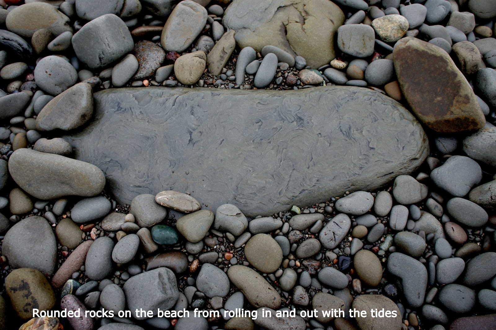 Bill and Nancy wandering: Cape Enrage