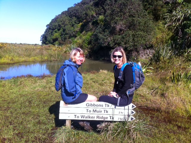Solvitur Ambulando: Gibbons Track - Muir Track - Pararaha Valley ...