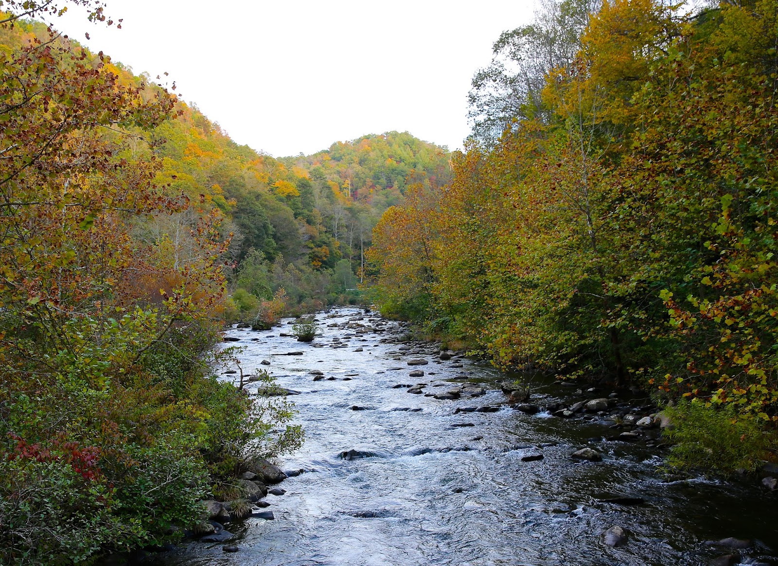 Sweet Southern Days: Parson Branch Road In The Great Smoky Mountains ...