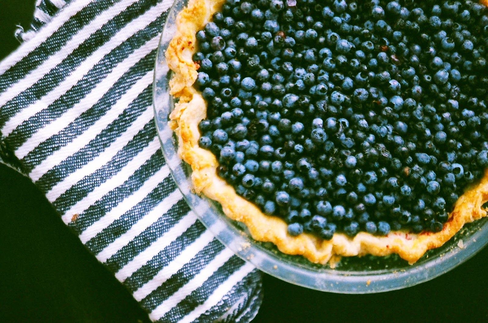 Nothing in the House: Fresh Wild Maine Blueberry Pie