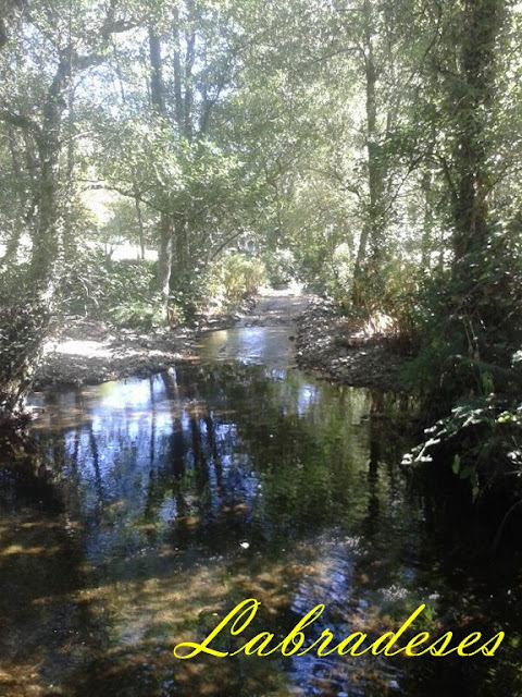 Labrada e os labradeses.: As paisaxes de Labrada.