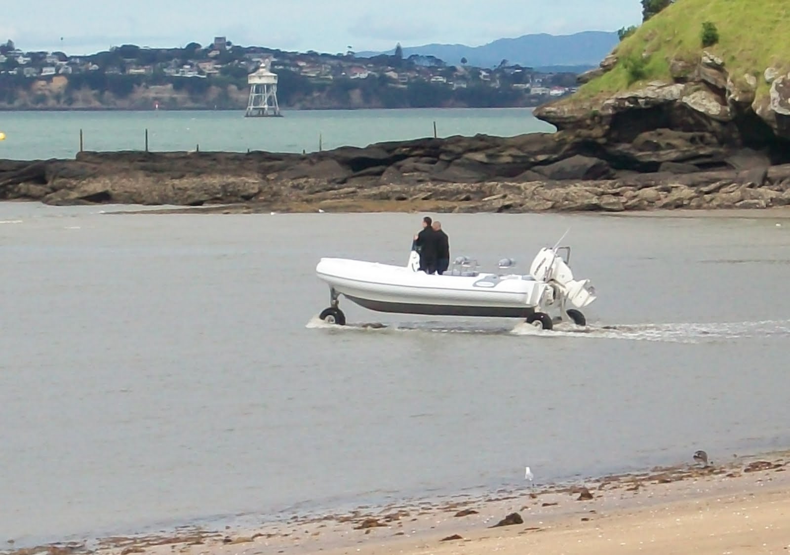 Dandelion Daze: A boat with wheels..