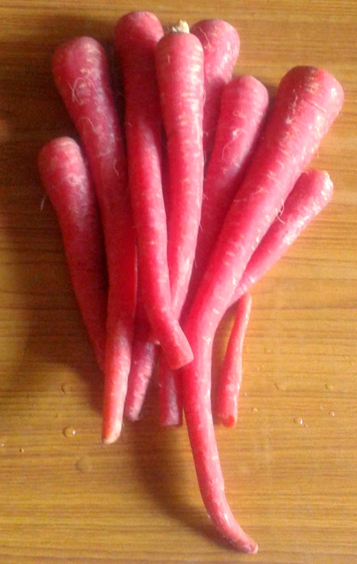 PEEKABOO: Gazar ka Halwa(Carrot milk Pudding/dessert ...