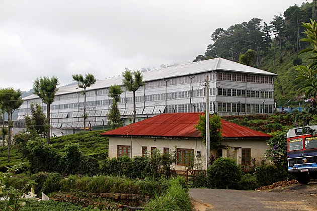 Dambatenne Tea Factory-Haputale-Sri lanka