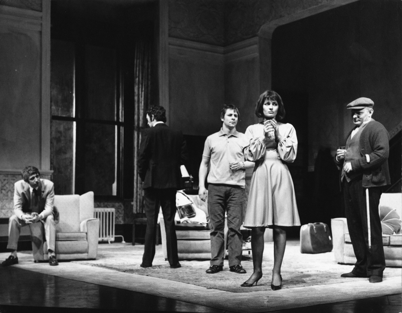 David Fielding | Director | Designer | Theatre | Opera: The Homecoming