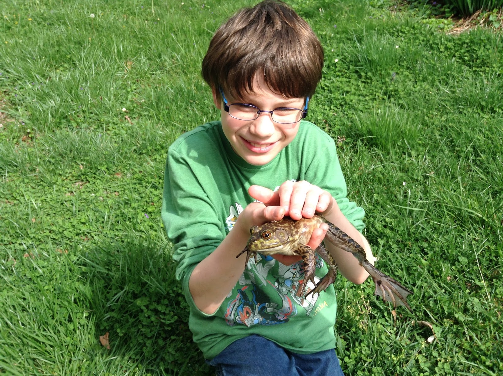 Call Me Irresponsible: Wild Neighbor