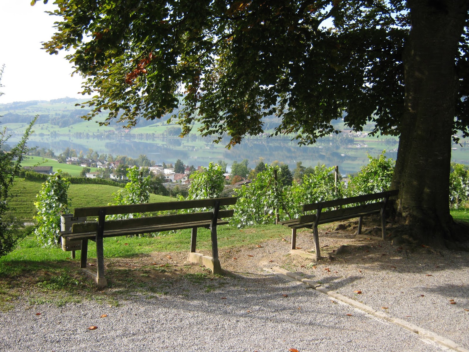 Wanderlust: Gelfingen – Hitzkirch – Aesch – Mosen, 28.09.2017