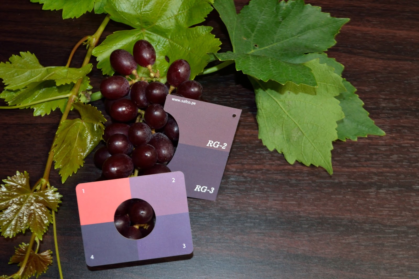 GRAPES - UVAS: Calibradores Tabla de Colores Uvas