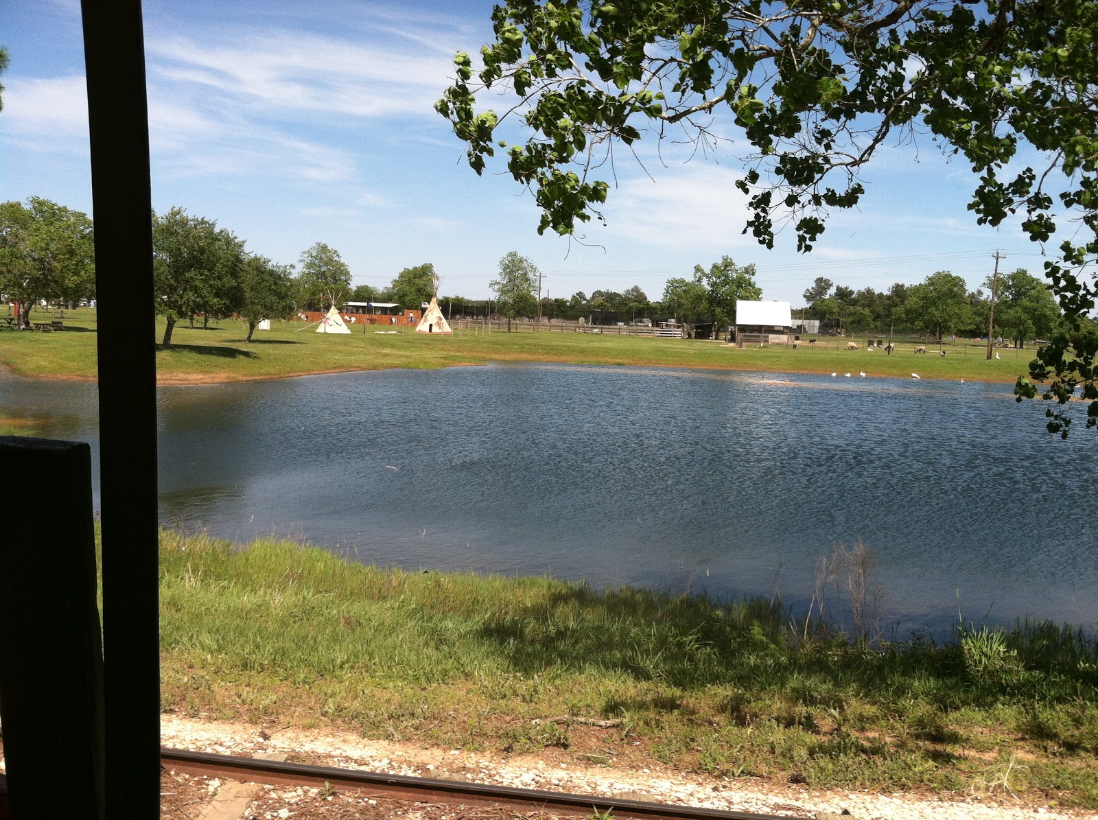 South Texas Roots: Oil Ranch