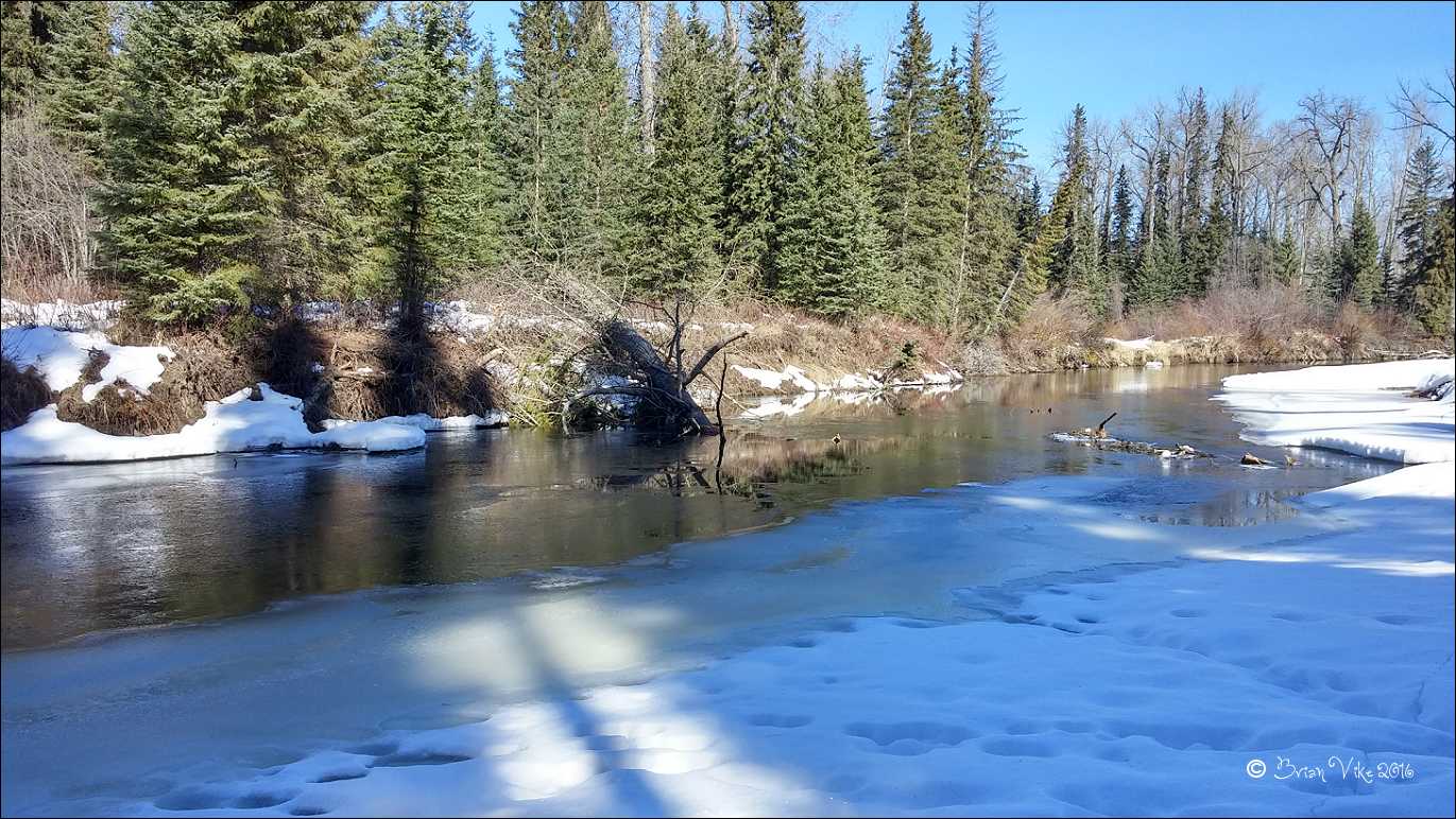 Northern Interior British Columbia: Spring On The Bulkley River Houston ...