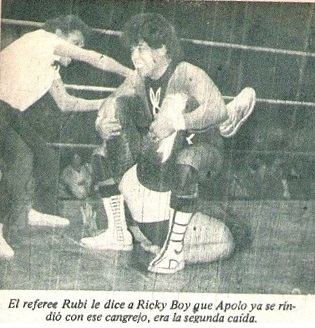 ¿QUIEN ES QUIEN? LUCHA LIBRE: febrero 2018