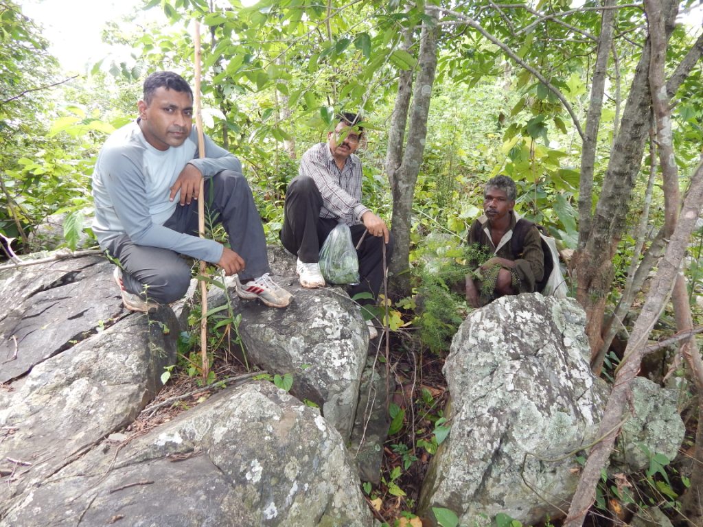 Memories & Similipal Biosphere Reserve (Save Forest Save Life)