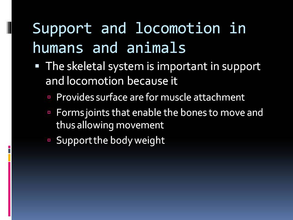 Biology: Support and Locomotion