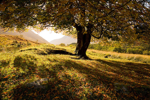 Photography by Tim Parkin