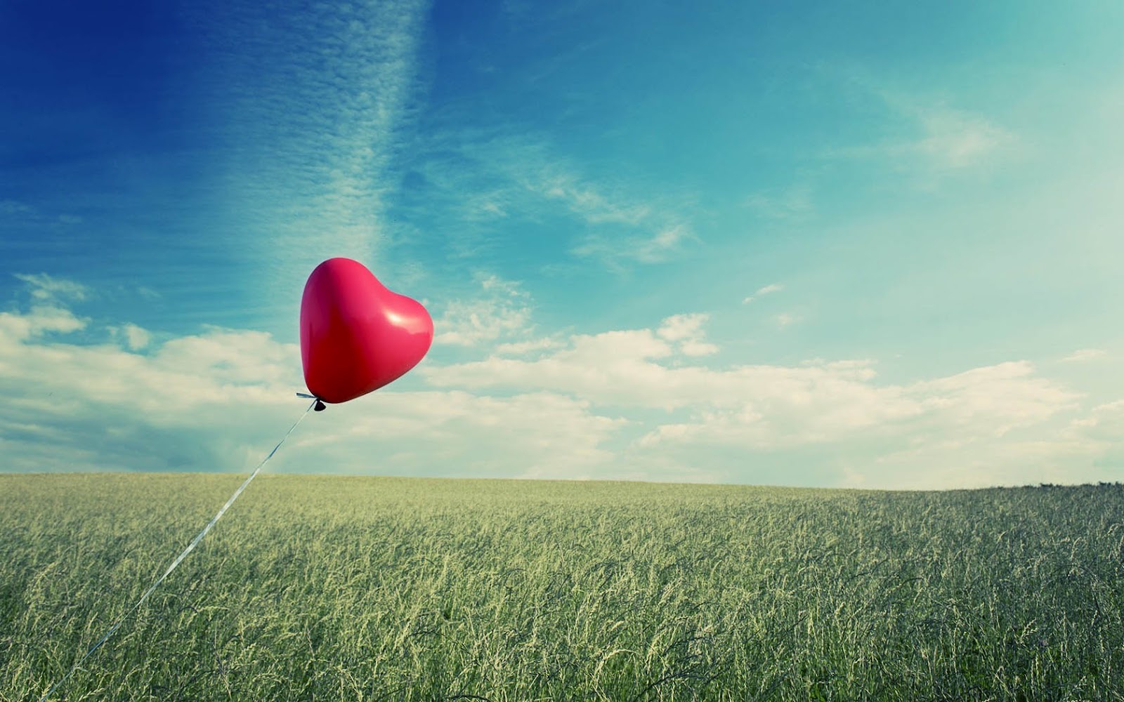 20 liefdes achtergronden voor je bureaublad | Mooie Leuke Achtergronden ...